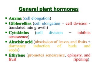 How Do Hormones Cause An Increase In Plant Height on Sale ...