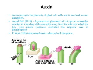 Plant hormones | PPT