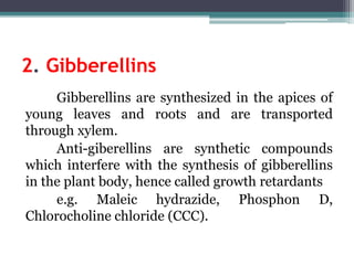 Plant hormones- Auxins & Gibberellins | PPTX