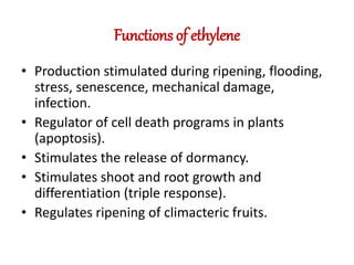 PLANT HORMONES | PPTX