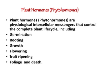 PLANT HORMONES | PPTX