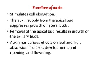 PLANT HORMONES | PPTX