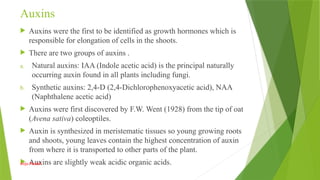 Plant hormones a core topics for botany.pptx
