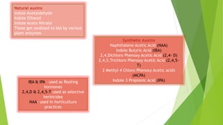 Plant hormones or growth regulators | PPT