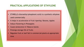 Plant hormones or growth regulators | PPT