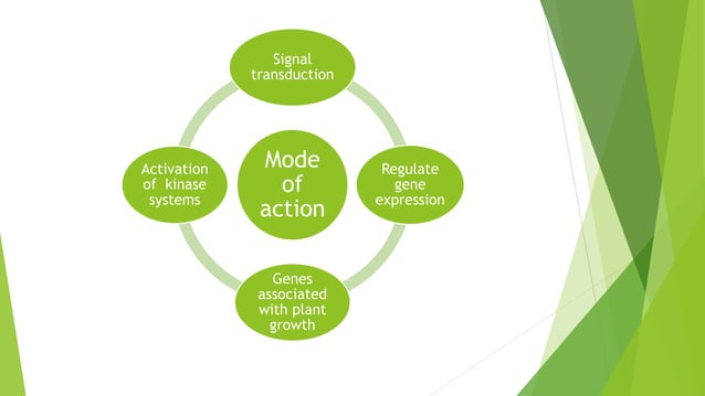 Plant hormones or growth regulators | PPT | Endocrine and Metabolic ...