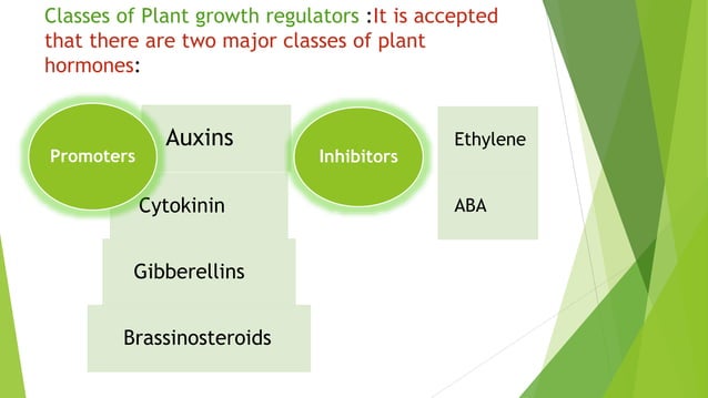 Plant hormones or growth regulators | PPT | Endocrine and Metabolic ...