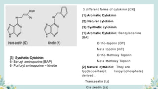 Plant Hormones(cytokinin)@Rajeev Ranjan. Ppt | PDF