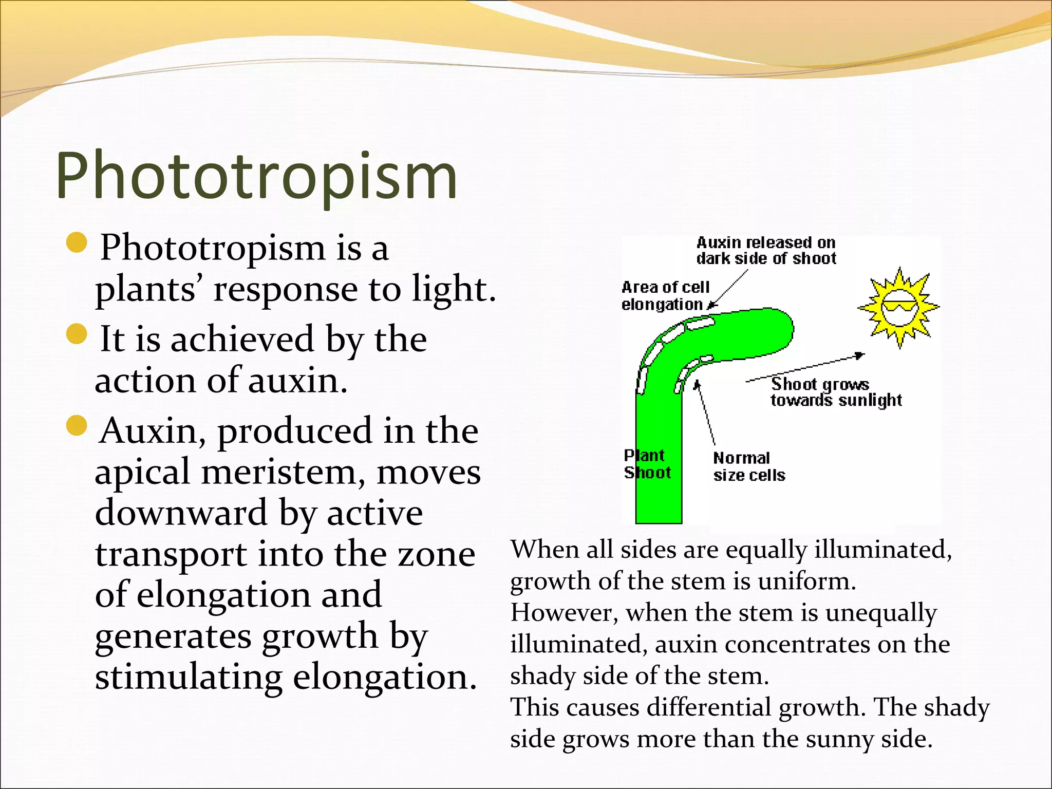 Plant hormones and plant reproduction | PPT