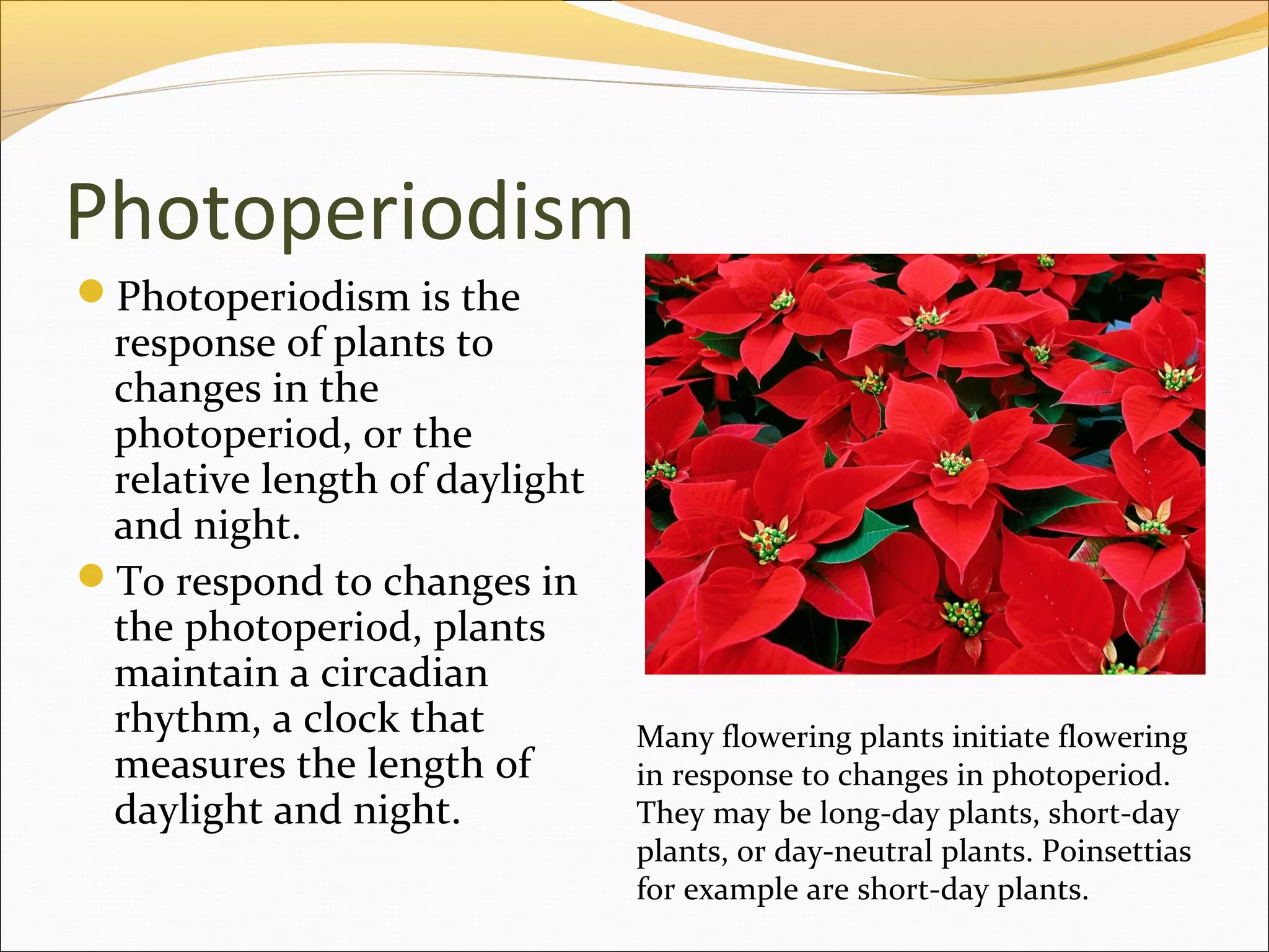 Plant hormones and plant reproduction | PPT