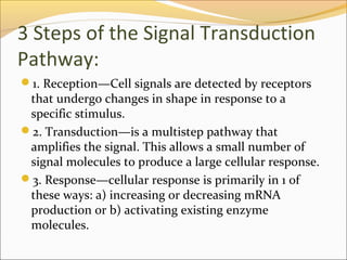 Plant hormones and plant reproduction | PPT