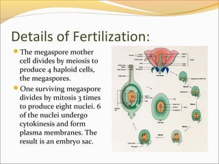 Plant hormones and plant reproduction | PPT