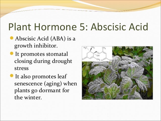 Plant hormones and plant reproduction