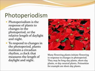 Plant Hormones and Plant Reproduction.ppt | Endocrine and Metabolic ...