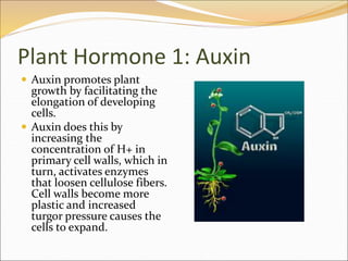 Plant Hormones and Plant Reproduction.ppt