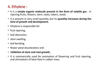 Plant hormones and their applications | PPTX