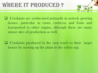 Plant hormones | PPTX