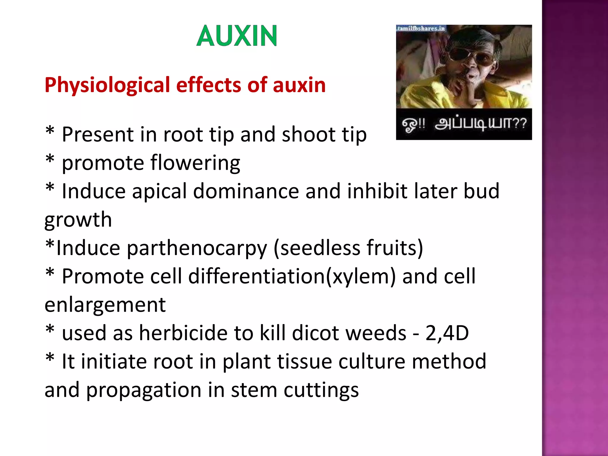 plant hormones class 10 updated.pptx