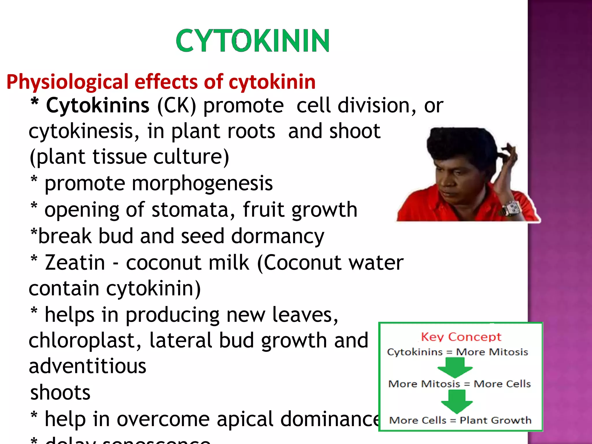 plant hormones class 10 updated.pptx