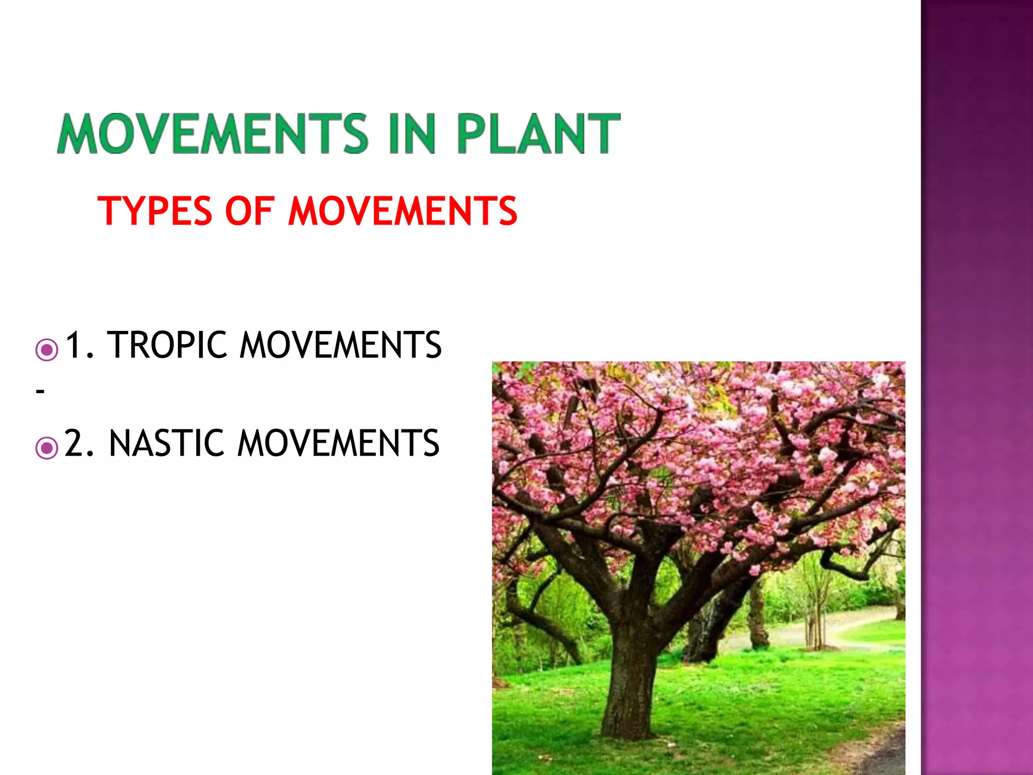 plant hormones class 10 updated.pptx