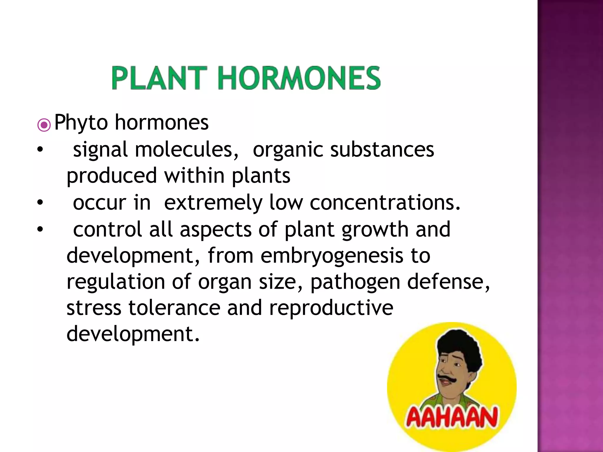 plant hormones class 10 updated.pptx