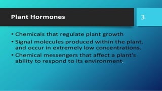 Plant hormones | PPT