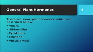Plant hormones | PPT