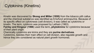 Plant Hormones Physiology and Role.pptx