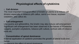 Plant Hormones Physiology and Role.pptx