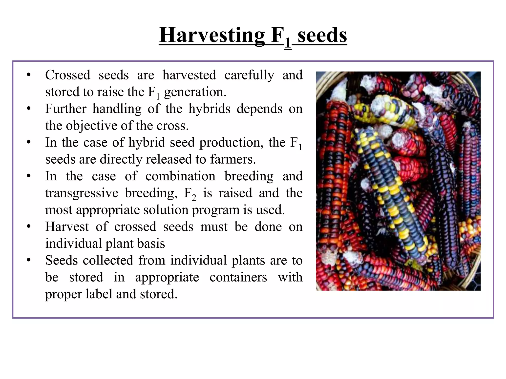 Plant hybridization aims, objectives and types of hybridization | PPT