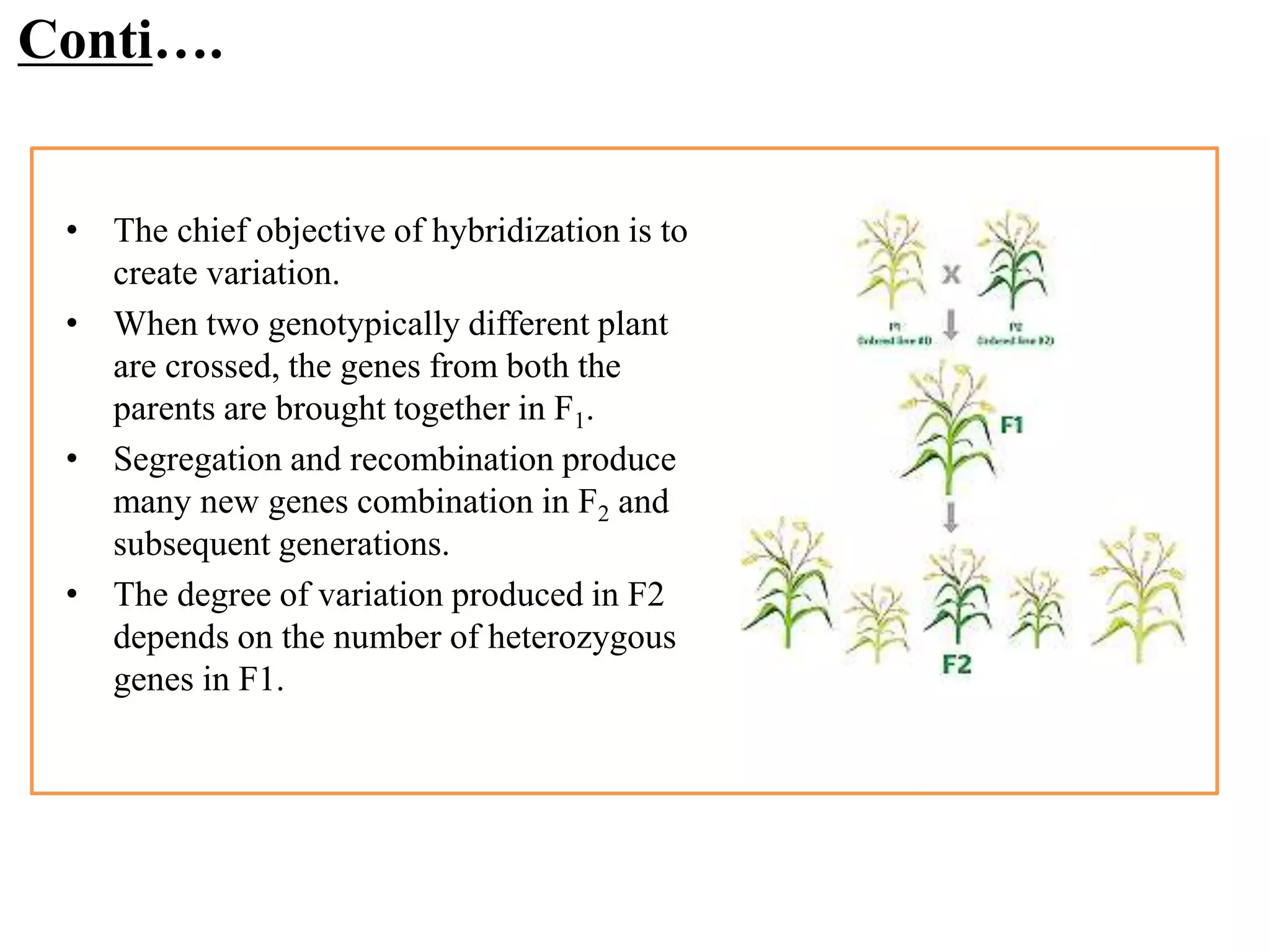 Plant hybridization aims, objectives and types of hybridization | PPT