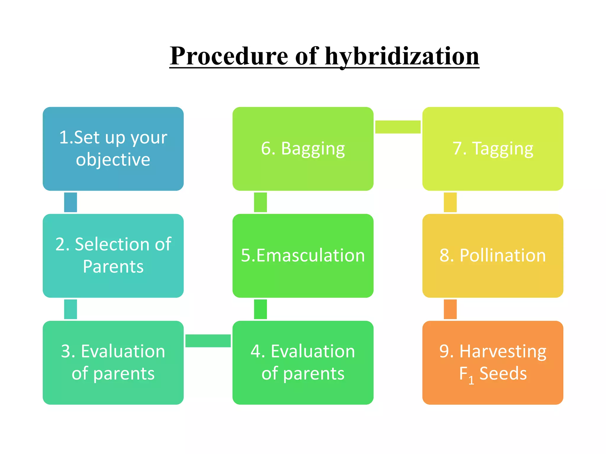 Plant hybridization aims, objectives and types of hybridization | PPT