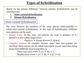 Plant hybridization aims, objectives and types of hybridization | PPT