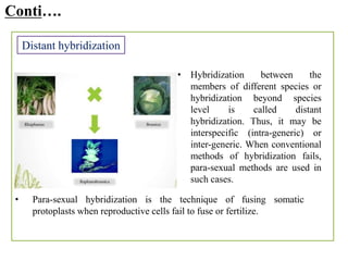 Plant hybridization aims, objectives and types of hybridization | PPT