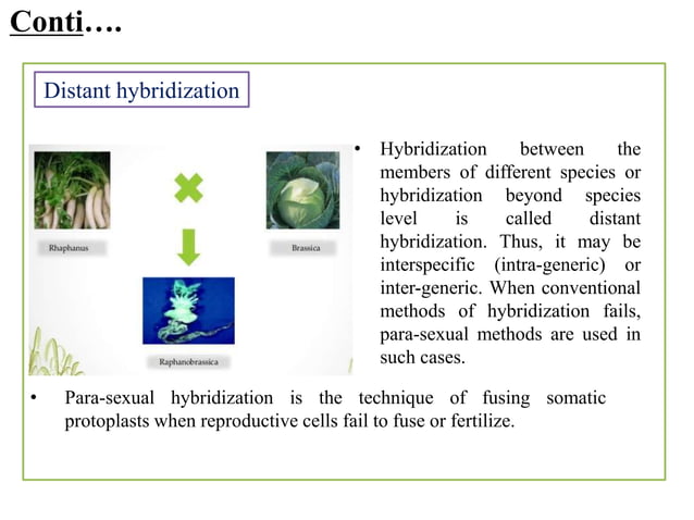 Plant hybridization aims, objectives and types of hybridization | PPT