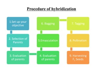 Plant hybridization aims, objectives and types of hybridization | PPT