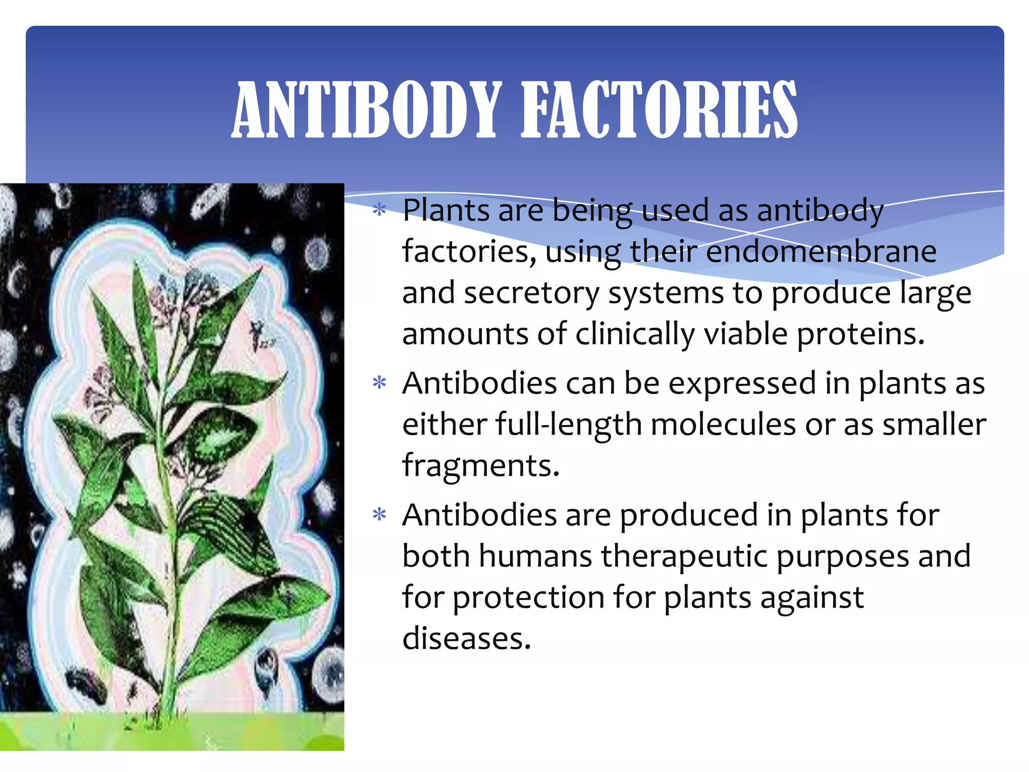 Plantibodies | PPTX