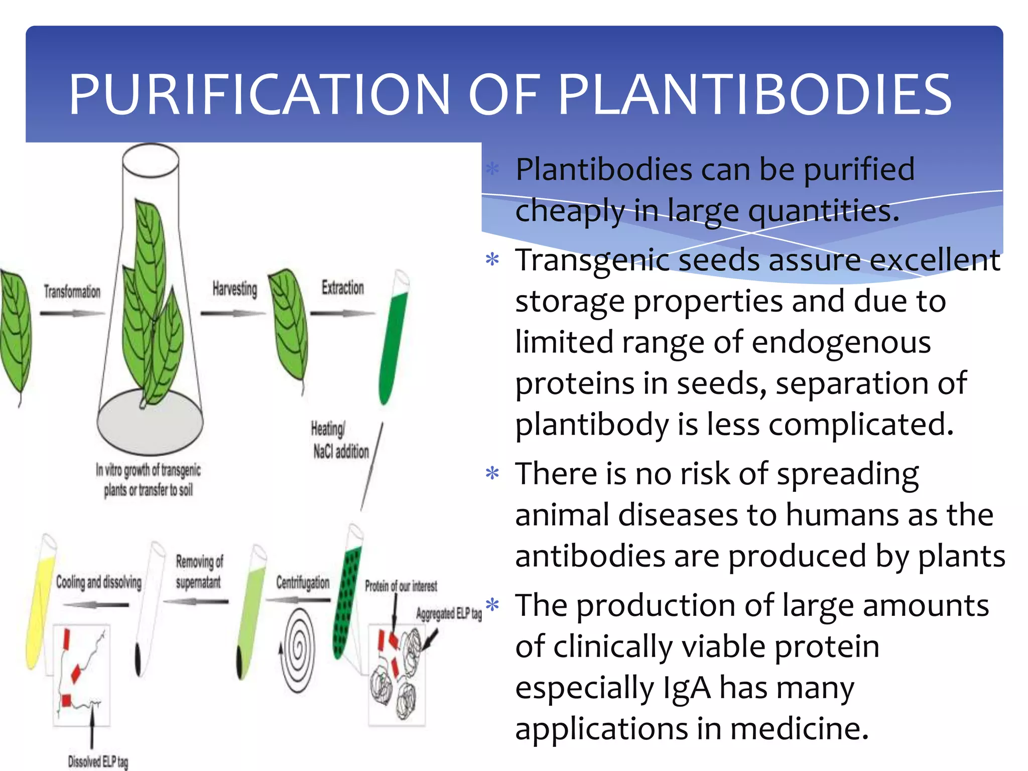 Plantibodies | PPTX