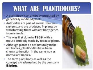 Plantibodies | PPTX