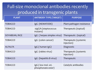 Plantibodies | PPTX