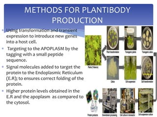 Plantibodies | PPTX