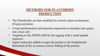 Presentation on Plantibodies and their types.pdf