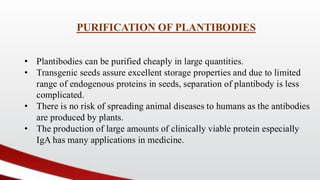 Presentation on Plantibodies and their types.pdf