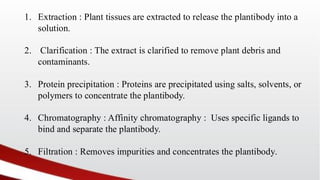 Presentation on Plantibodies and their types.pdf