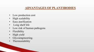 Presentation on Plantibodies and their types.pdf