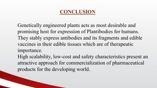 Presentation on Plantibodies and their types.pdf
