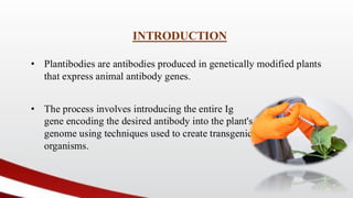 Presentation on Plantibodies and their types.pdf