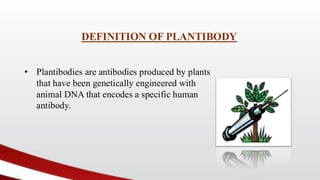 Presentation on Plantibodies and their types.pdf