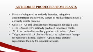 Presentation on Plantibodies and their types.pdf