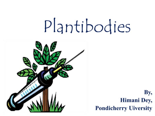 Plantibodies | PPTX | Vaccines | Medical Health